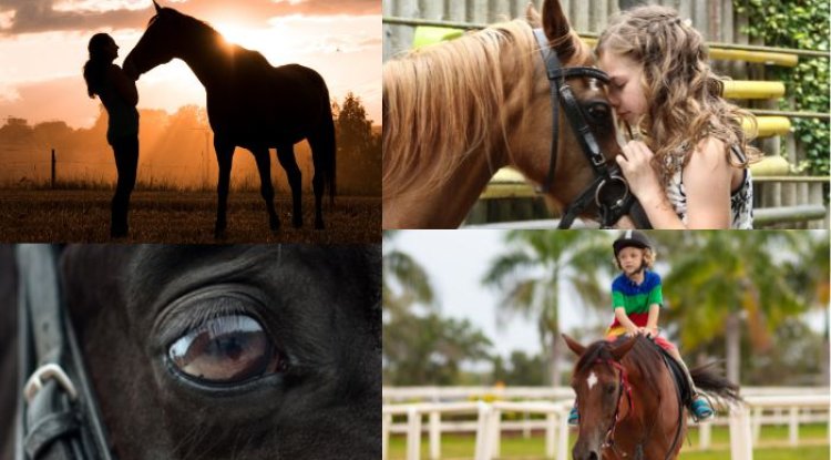 Horse riding is not just for the well off – and we need to keep it this ...